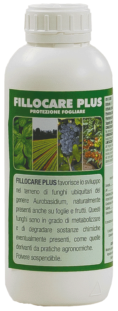 Fillocare Plus - Agreennovative